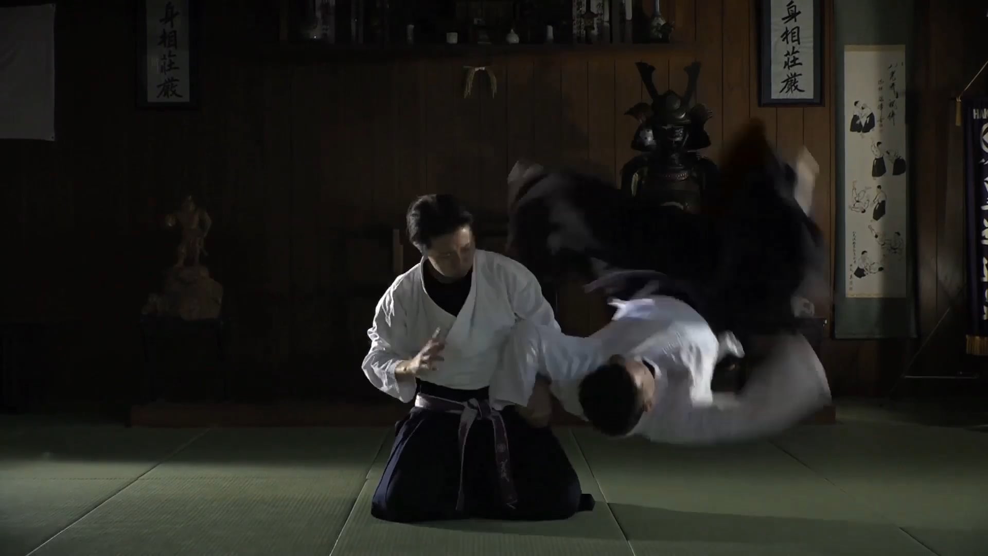 Watch Hakkoryu Arresting Techniques Vol.1 （Hakko-ryu Taiho-jutsu Vol.1 ...