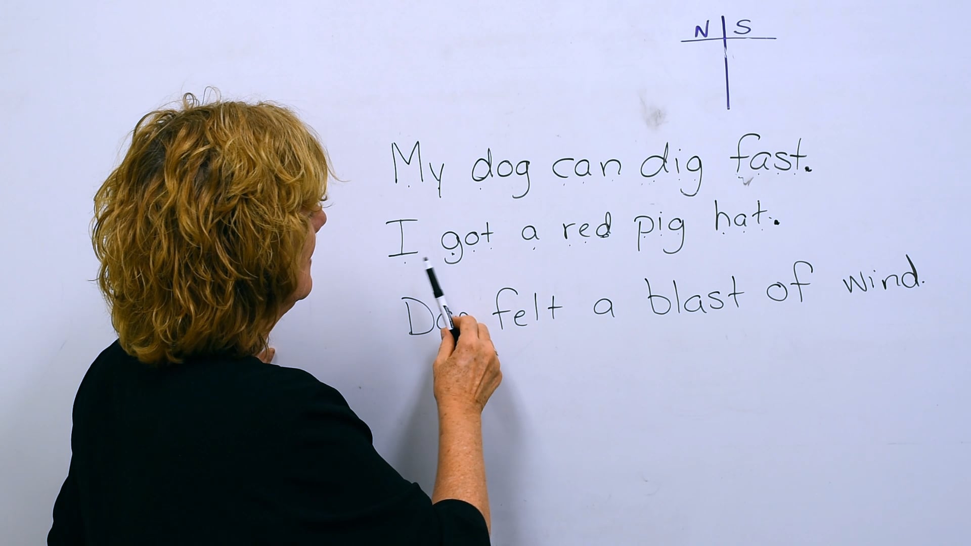 Reading Sentences: My dog can dig fast. WC Student Lesson K (3) on Vimeo
