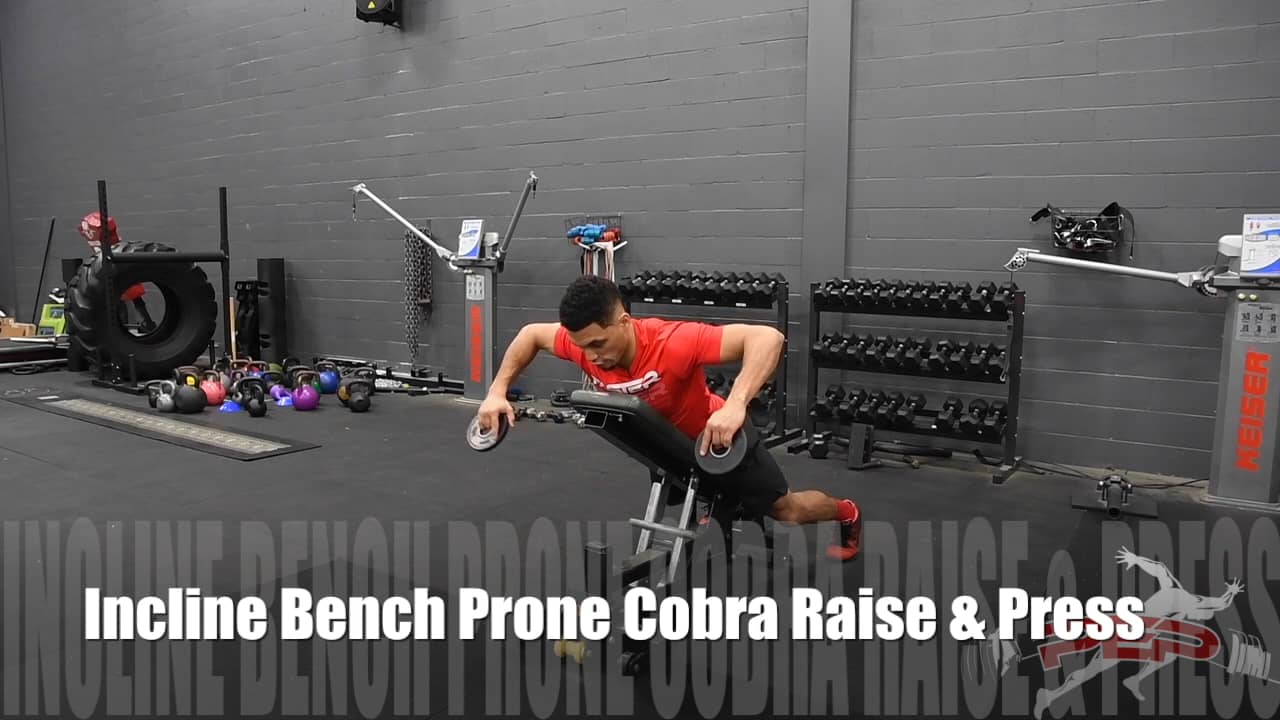 Incline Bench Prone Cobra Raise & Press on Vimeo