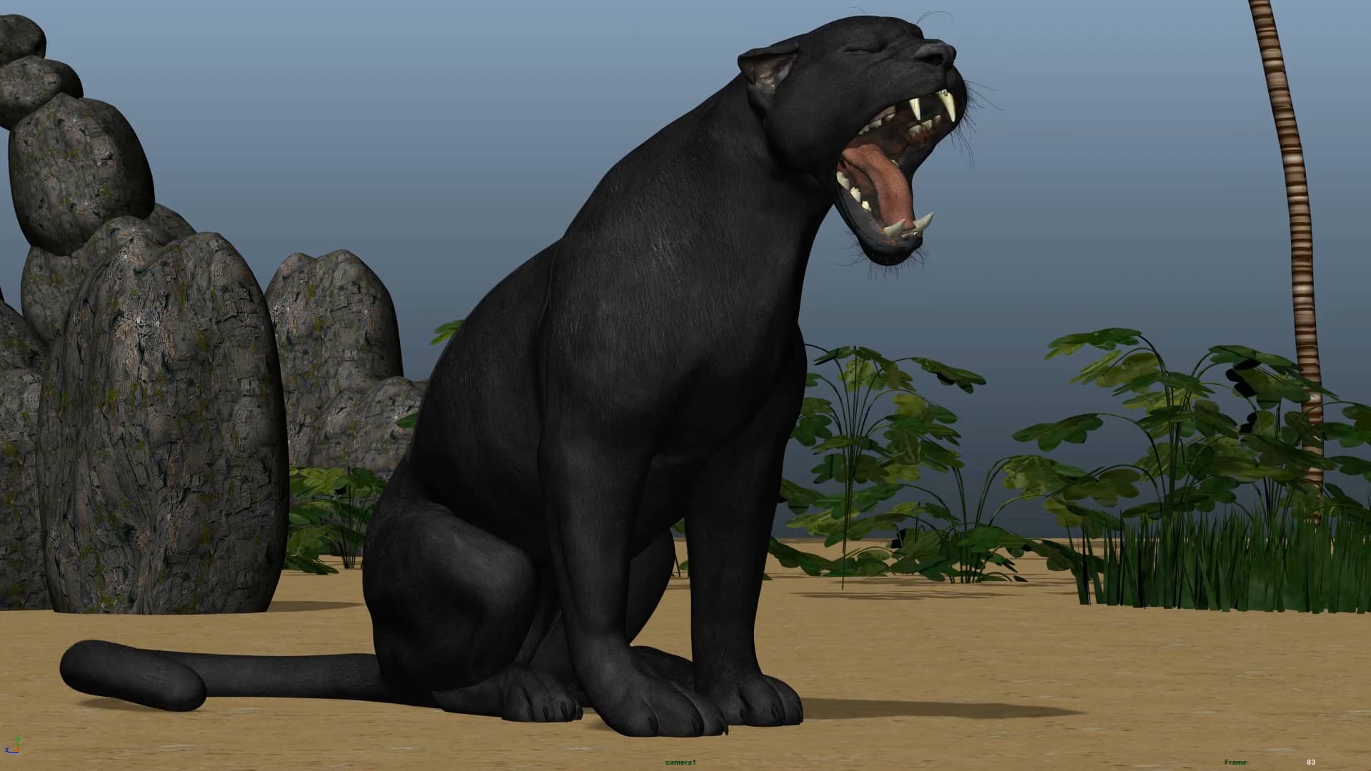 Panther Animation (ianimate Creature Workshop 1) on Vimeo