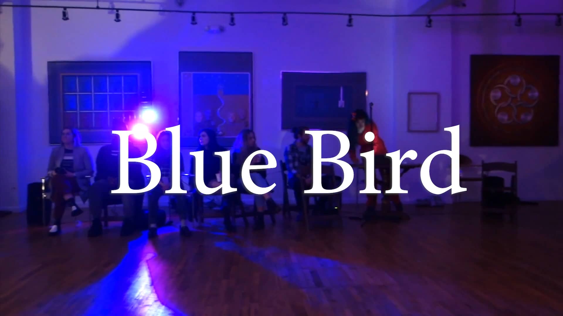 Cacia Zoo- Blue Bird / A dance performance for Lumen Muse on Vimeo
