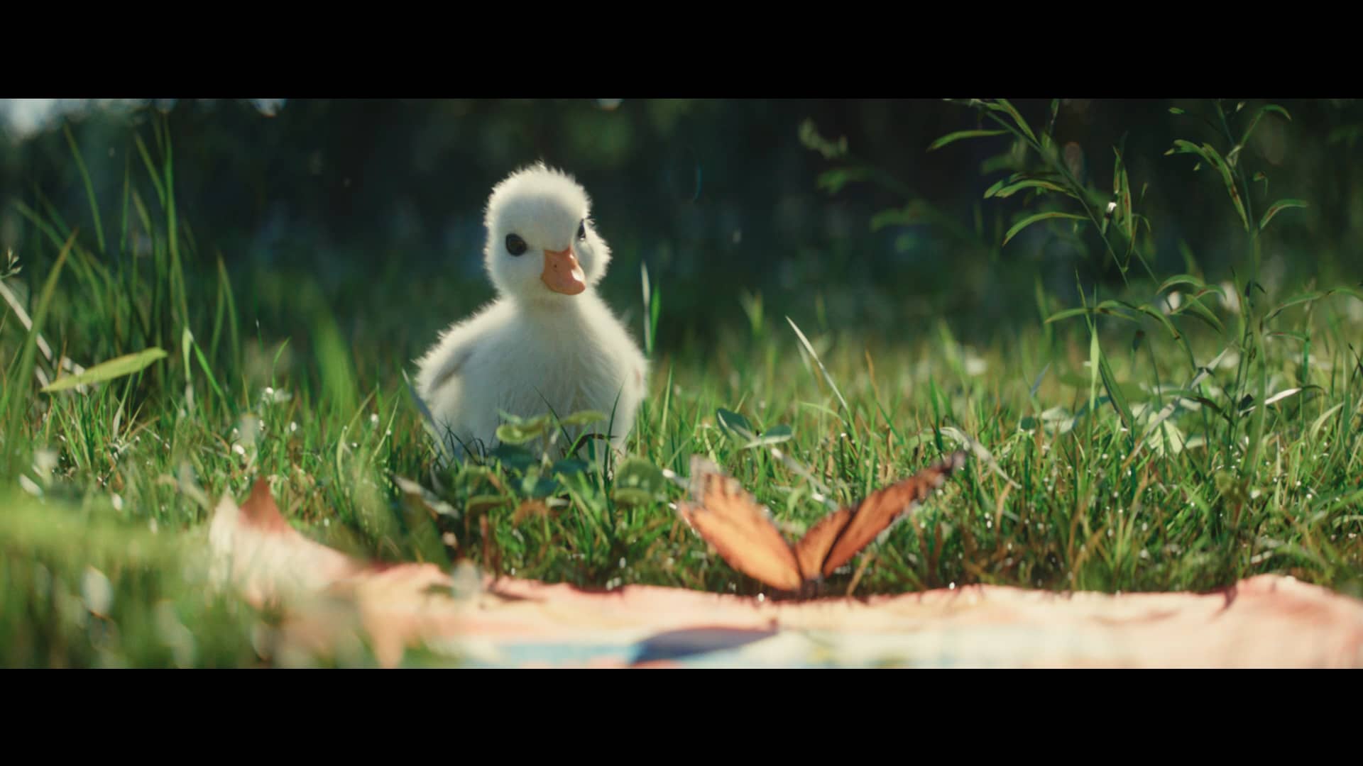 Disney - The Little Duck on Vimeo