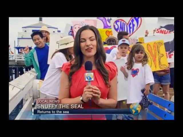 Snuffy the seal (shark week commercial on Vimeo
