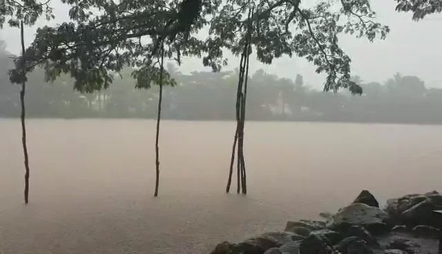 The Labasa river on Vimeo