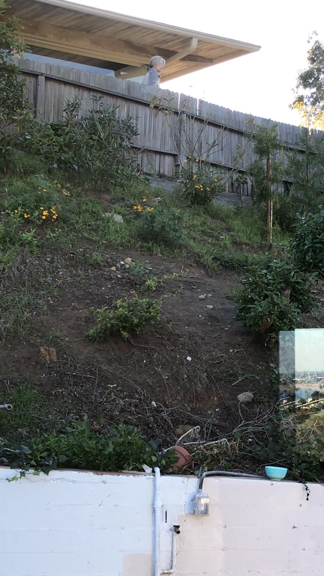 Nancy Jan 02 ladder video.MOV on Vimeo