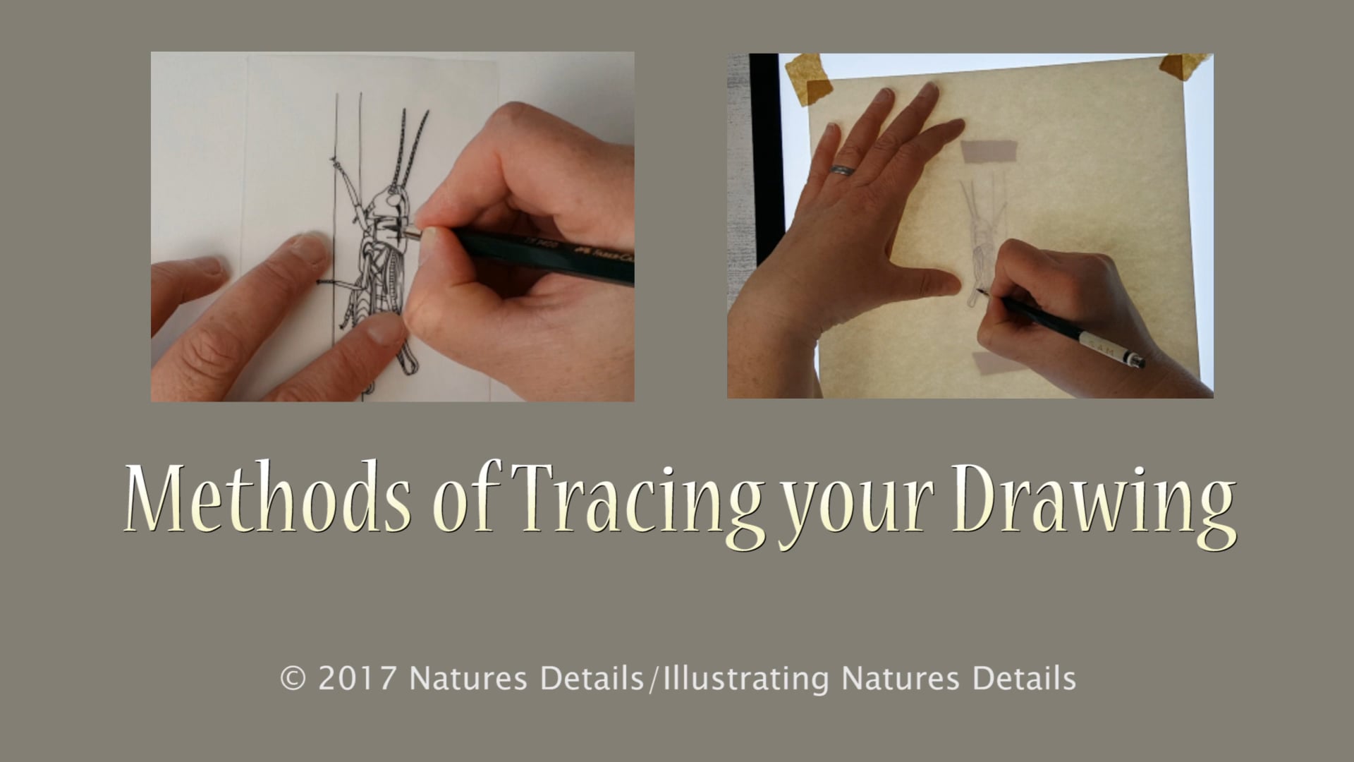 Methods of Tracing your Drawing on Vimeo