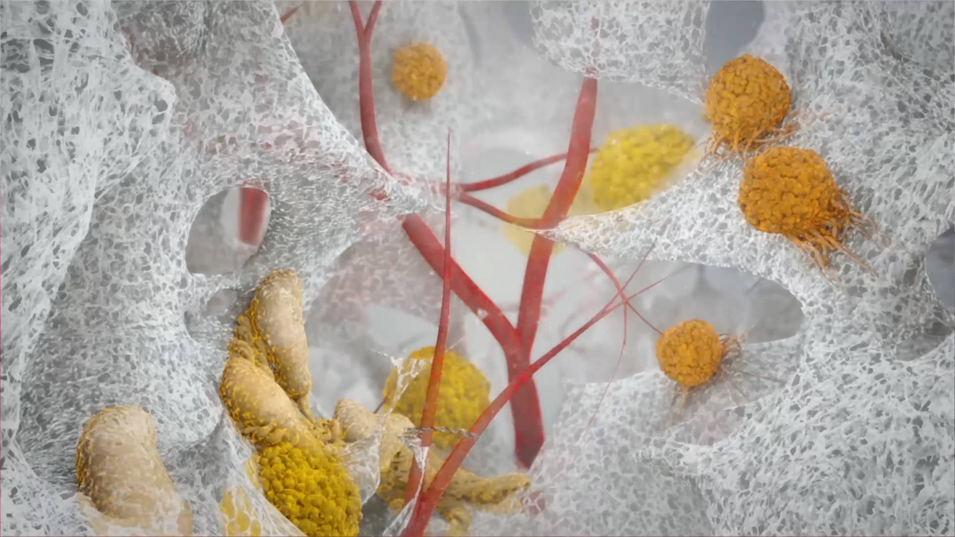 NovoSorb BTM product animation - PolyNovo on Vimeo