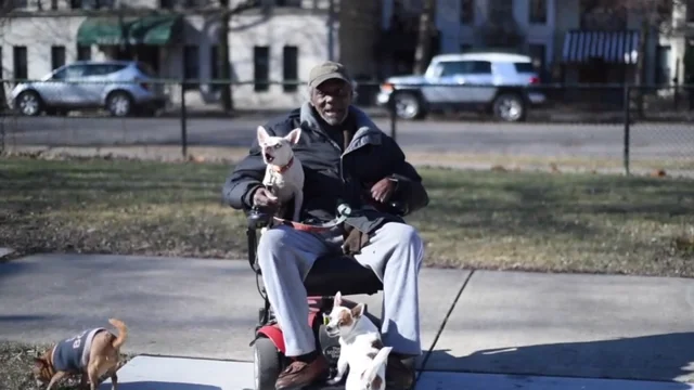 Kenneth Leverich Tights