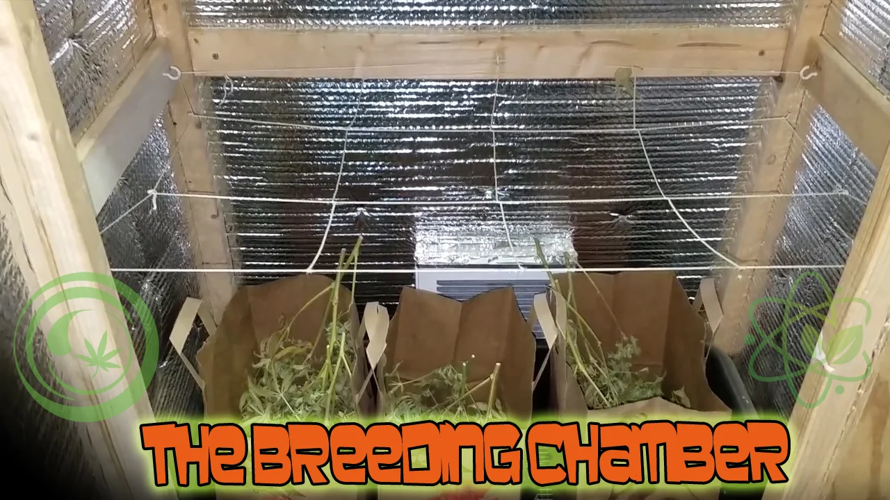 The Breeding Chamber - S3E10