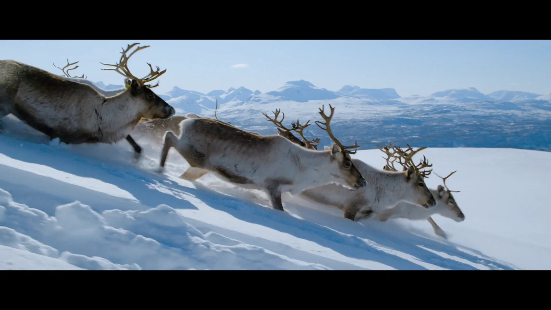 Ailo's Journey & Honka Log Homes TV 30 on Vimeo