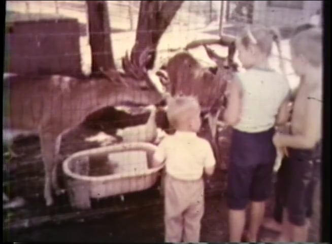 Brother Buzz TV Series - Junior Museum on Vimeo