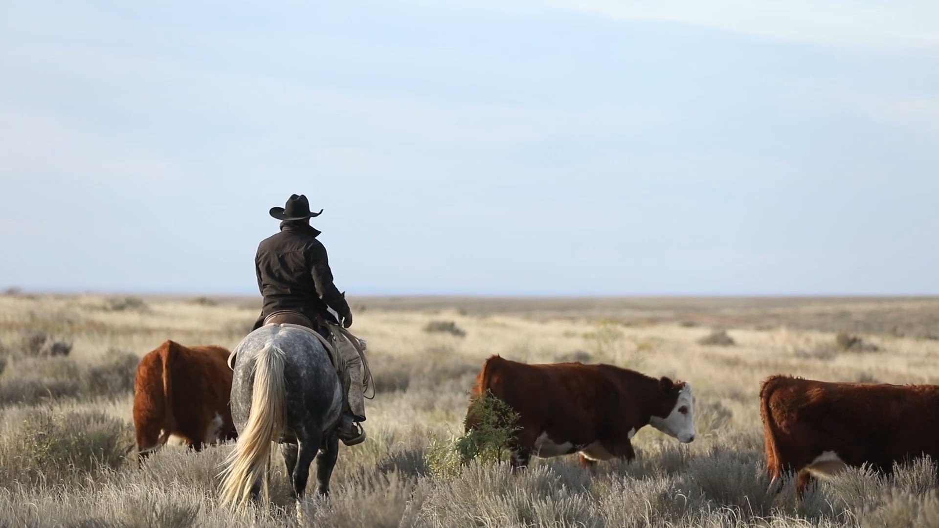 Perez Ranch - Extended Version with History on Vimeo