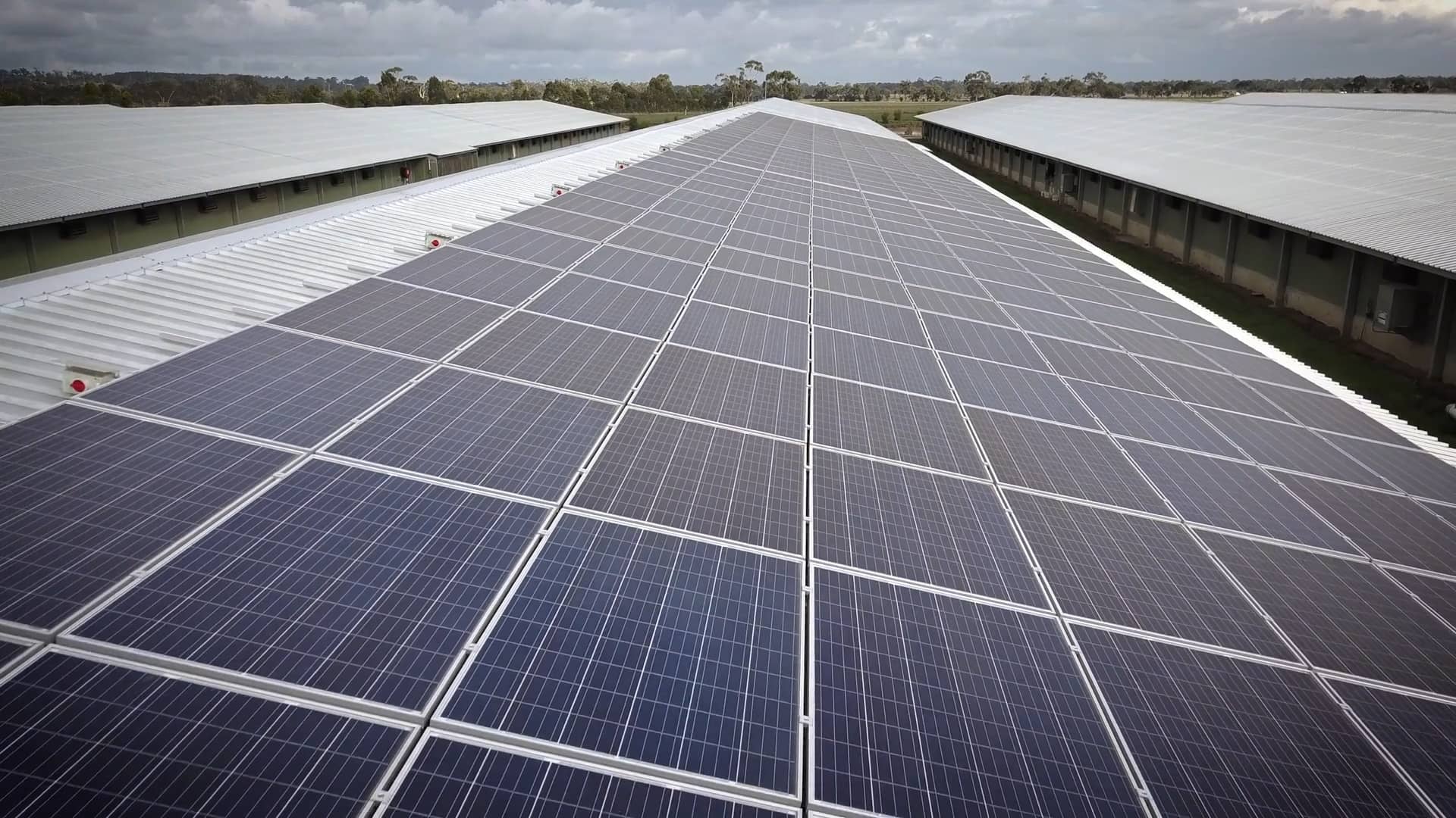 Enervest company profile on Vimeo