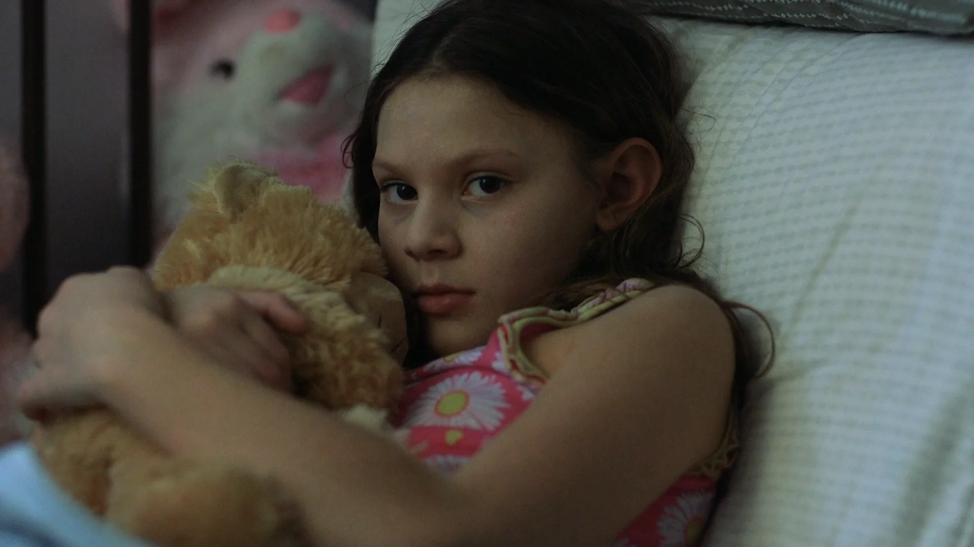 TEDDY / Teaser on Vimeo