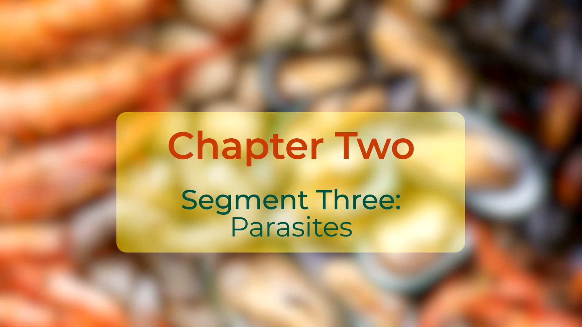 Chapter 2,Segment 3: Parasites on Vimeo