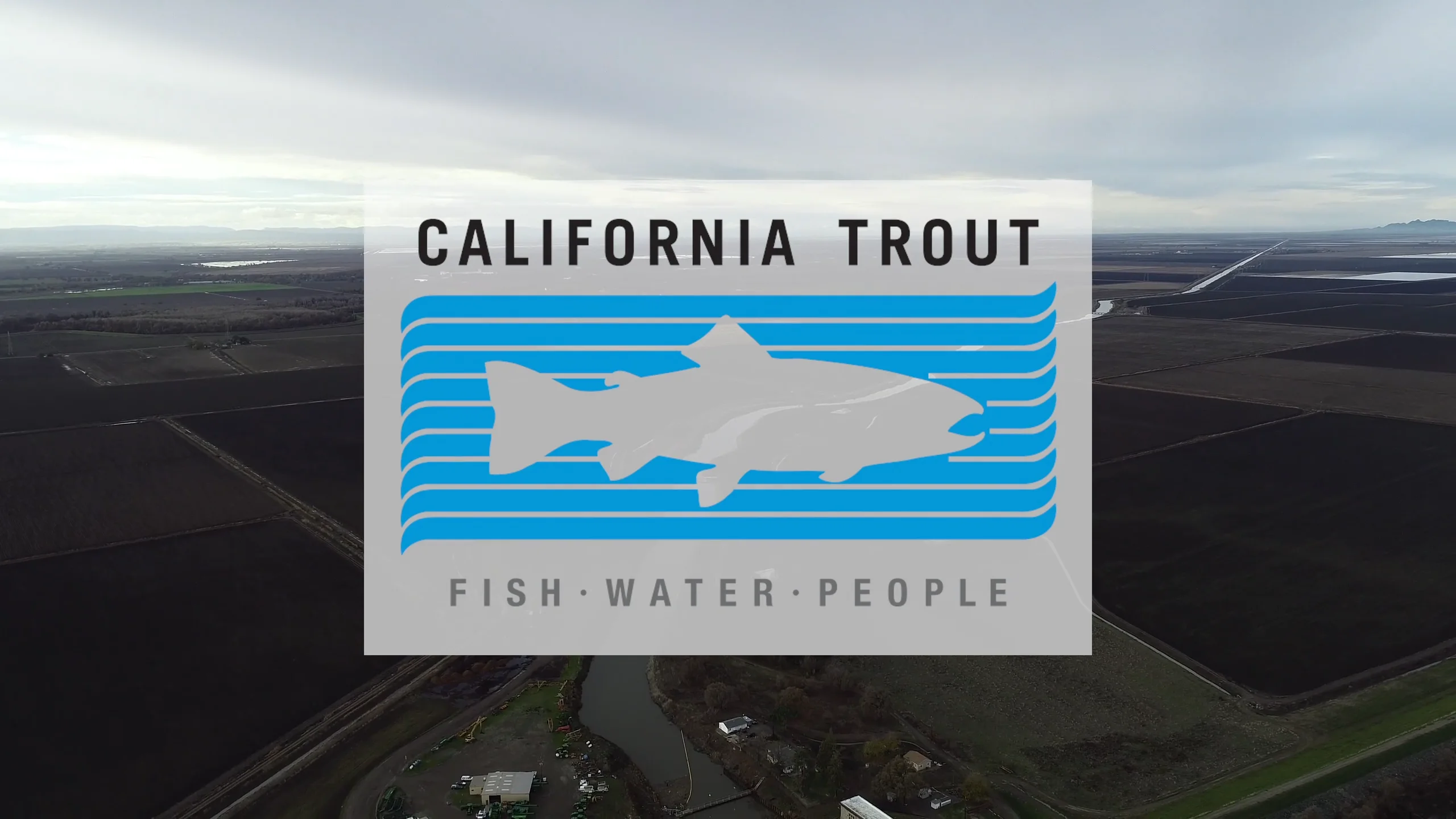 Central Valley Field Report 2019-3 Sutter Bypass