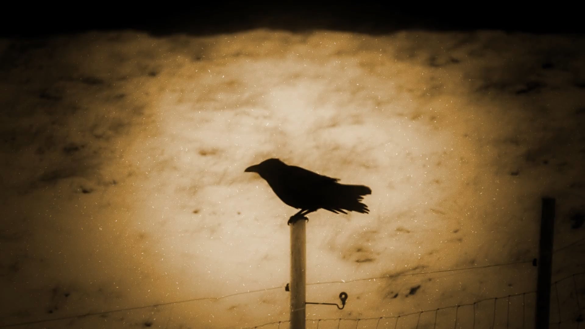 Spooked Podcast: Season 2 Trailer on Vimeo