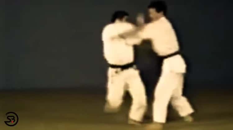 Karate Throws