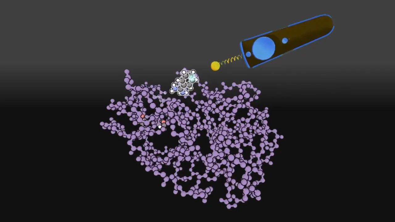 real-time interactive molecular dynamics: trypsin binding of benzamidine