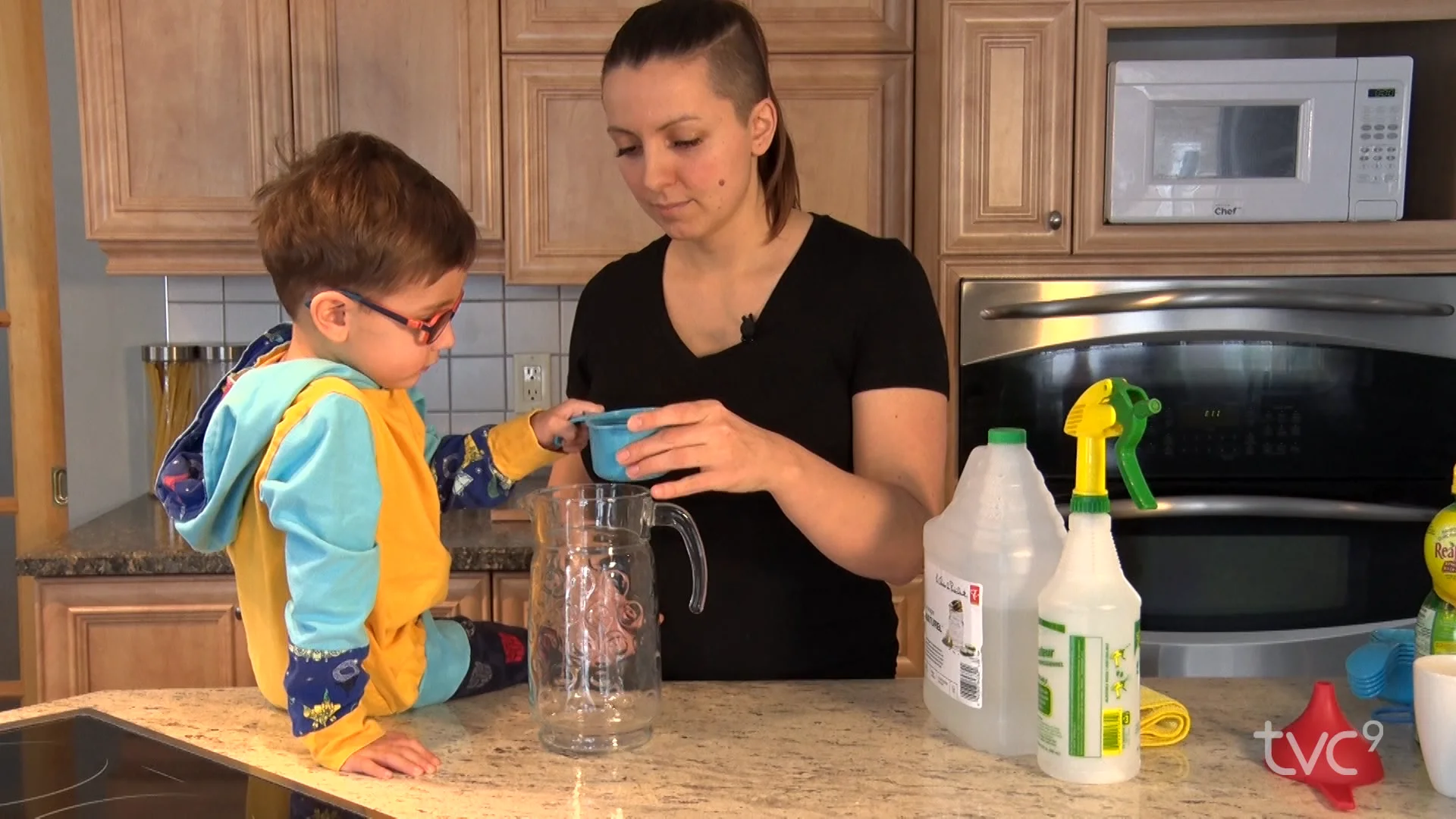 TVC9 - Famille simplifiée « Julie Frappier, directrice maison de la ...