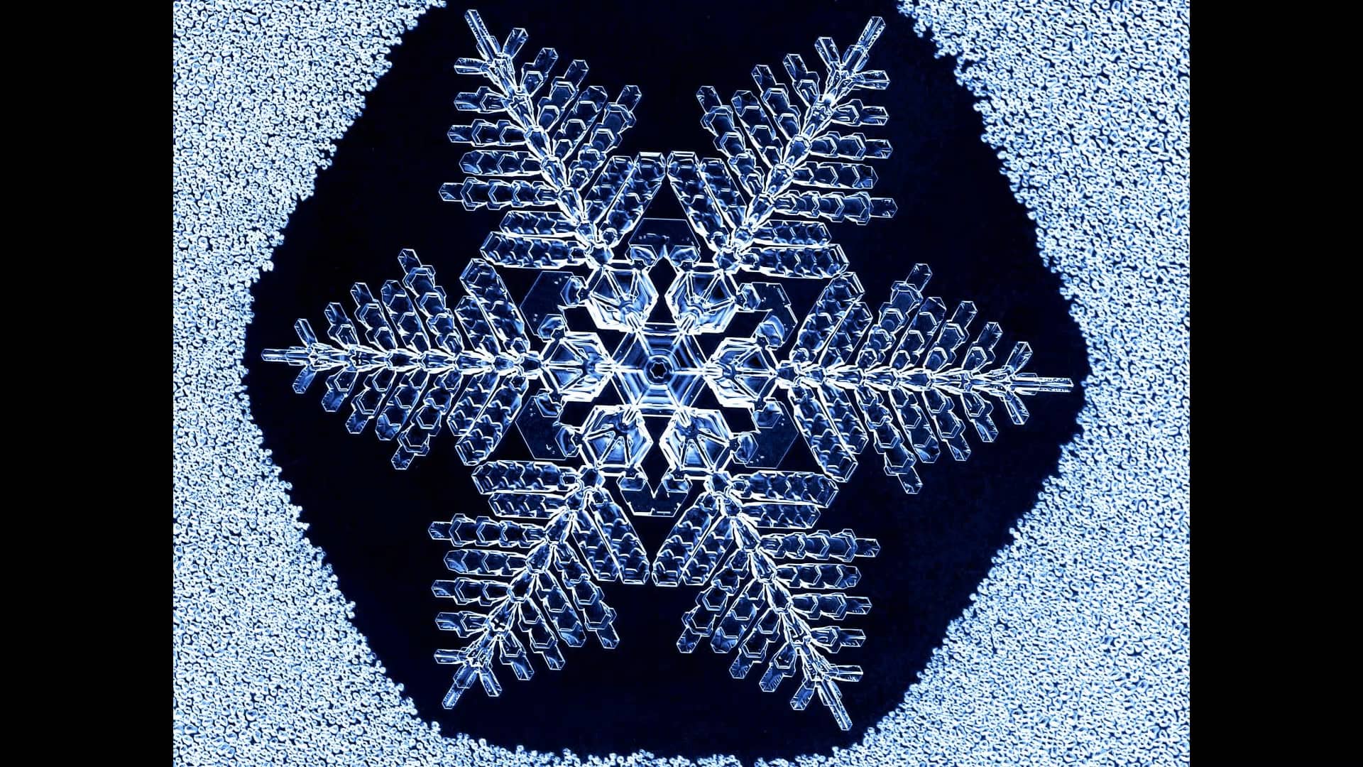 Designer Snow Crystal, 2015 by Kenneth Libbrecht on Vimeo