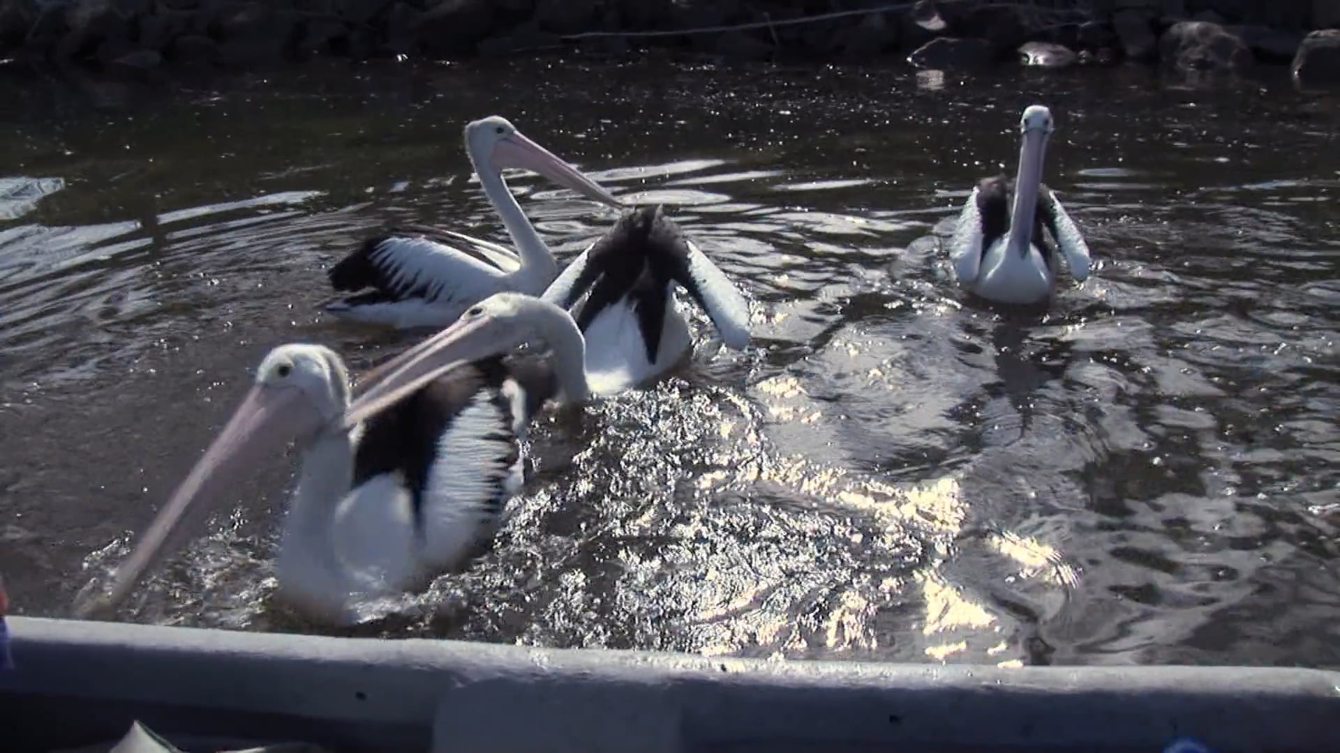 Watch Teach a Man to Fish Online | Vimeo On Demand on Vimeo