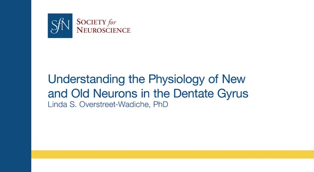 Dentate Gyrus