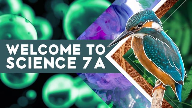 Accredited Online Middle School | GTS