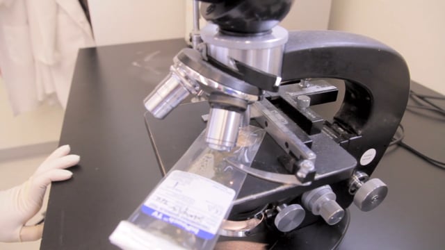Biomed Diagnostics on Vimeo