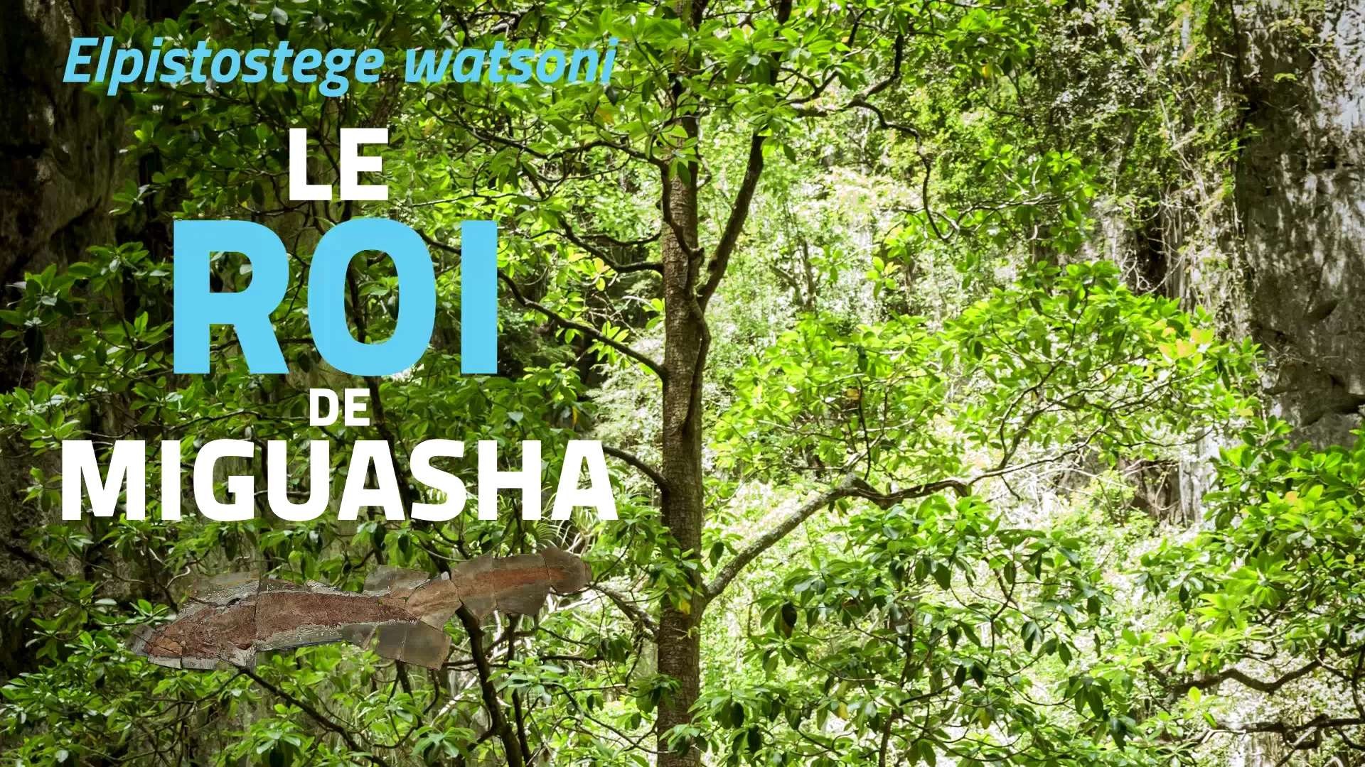 Parc National de Miguasha - Elpistostege