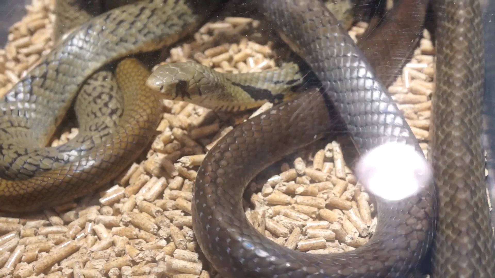 ERROR CATASTROPHE (trailer) on Vimeo