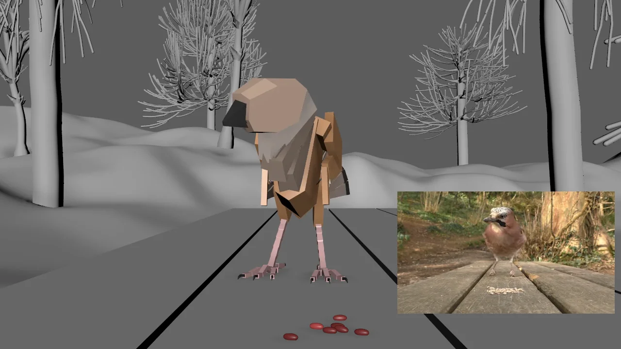 Boxy Bird Animation on Vimeo