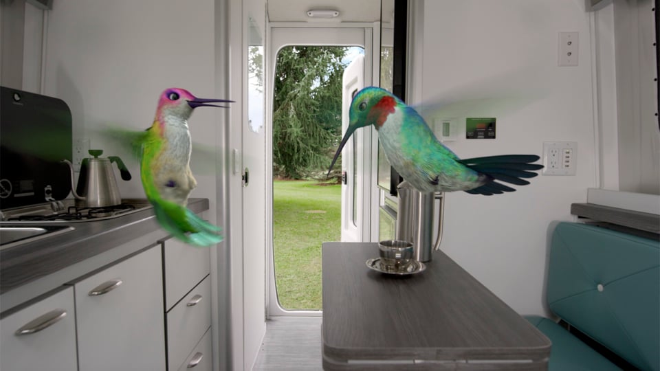 CG VFX and Live Action combo - Calabash Animation | 2D, 3D, VFX ...