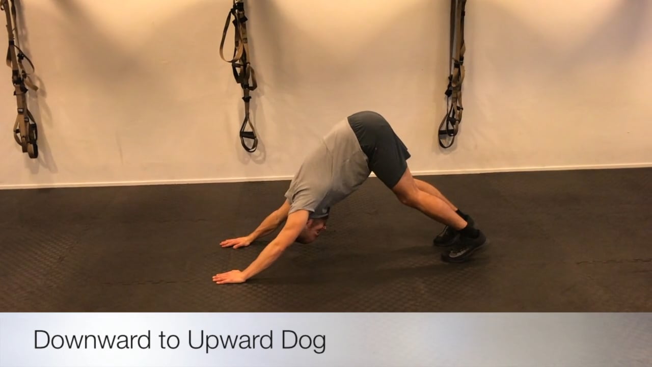 Downward to Upward Dog on Vimeo