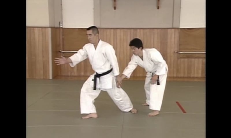 Shomen Uchi Kote Gaeshi 2