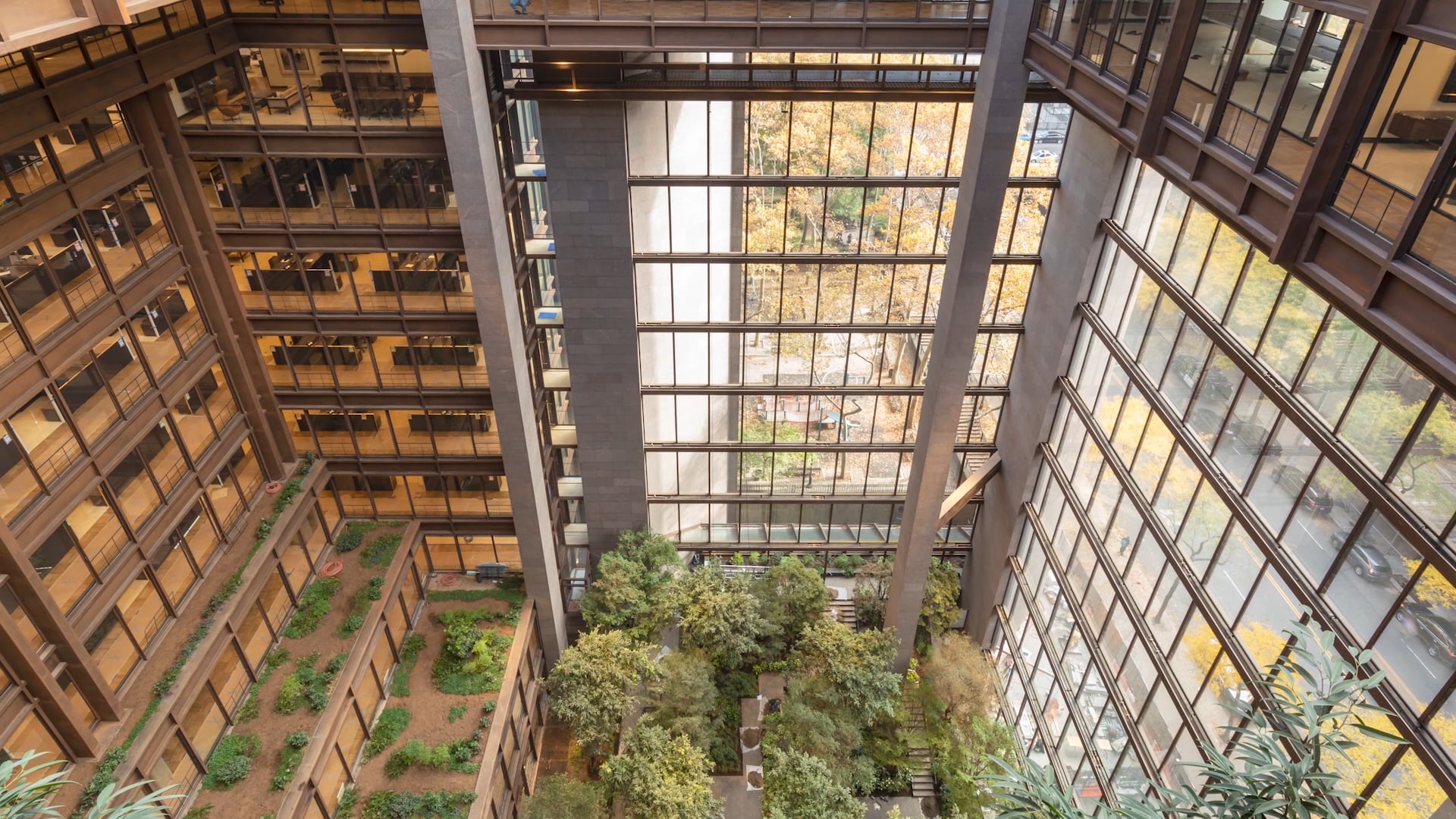 Ford Foundation Center for Social Justice - Then and Now on Vimeo