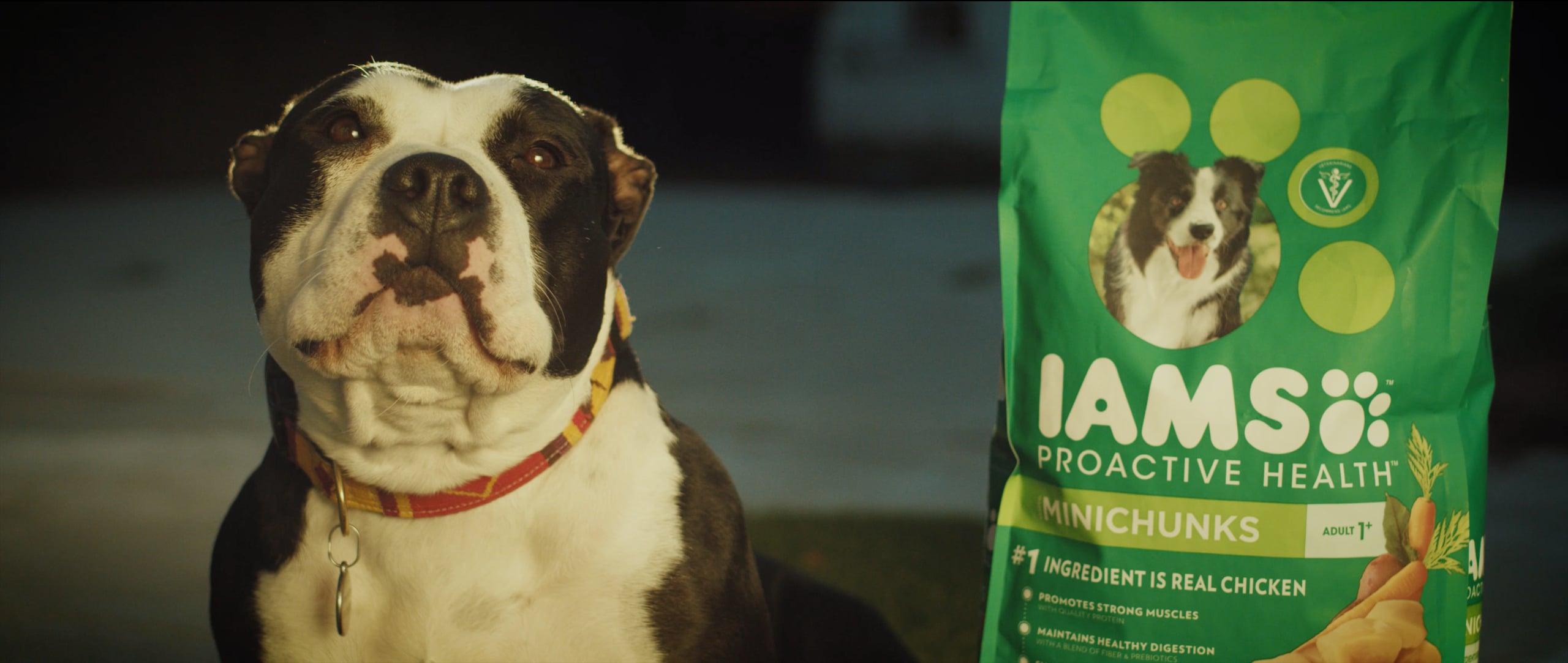 Iams Commercial
