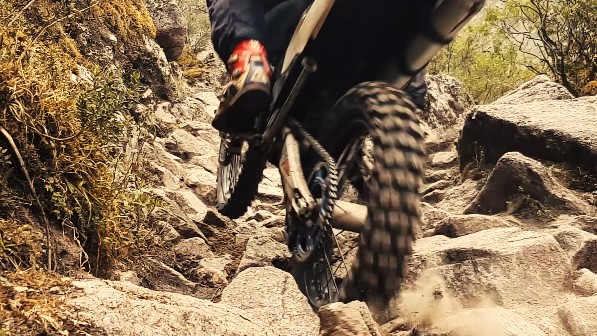 Watch Never Ride Alone Online | Vimeo On Demand on Vimeo