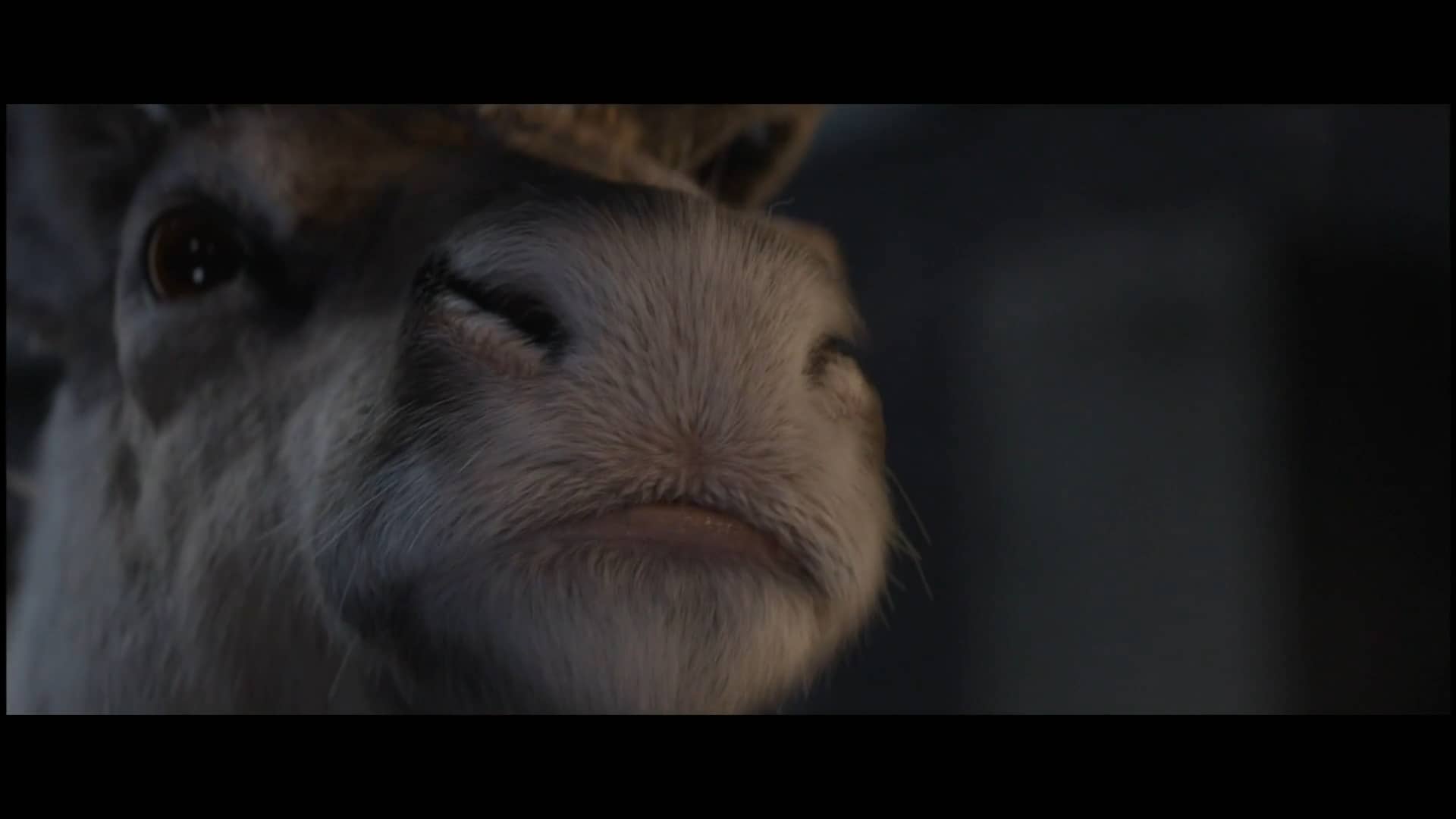 Framestore Creatures & Houdini | Framestore | Character FX & Crowds ...