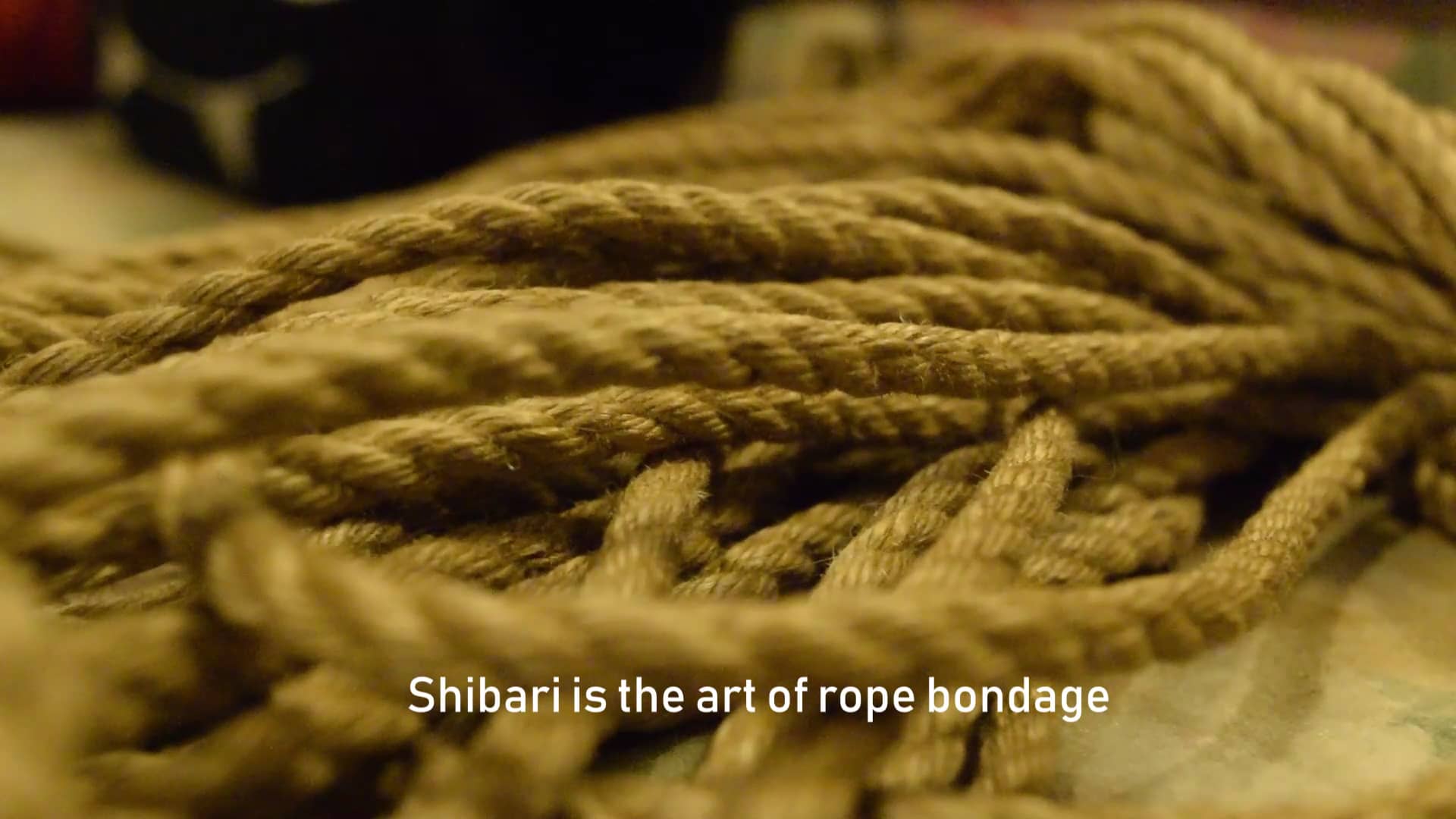 Shibari on Vimeo
