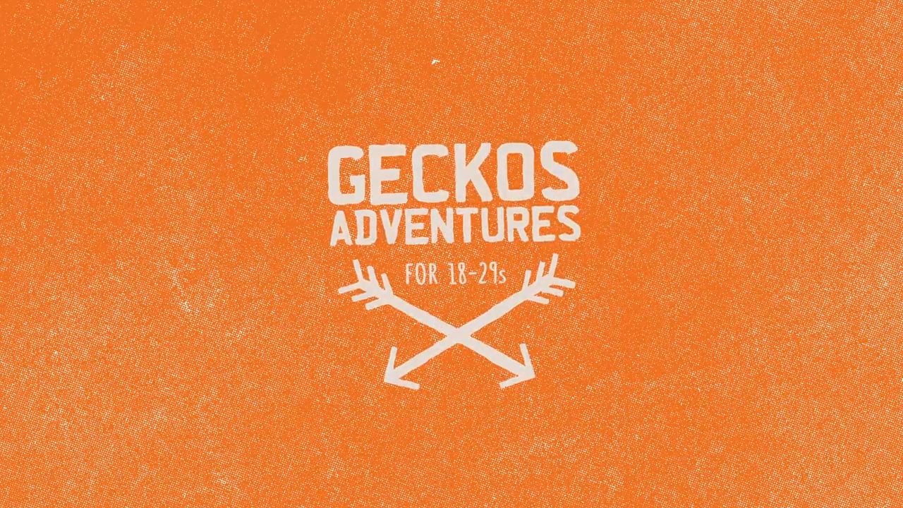 Geckos Adventures on Vimeo