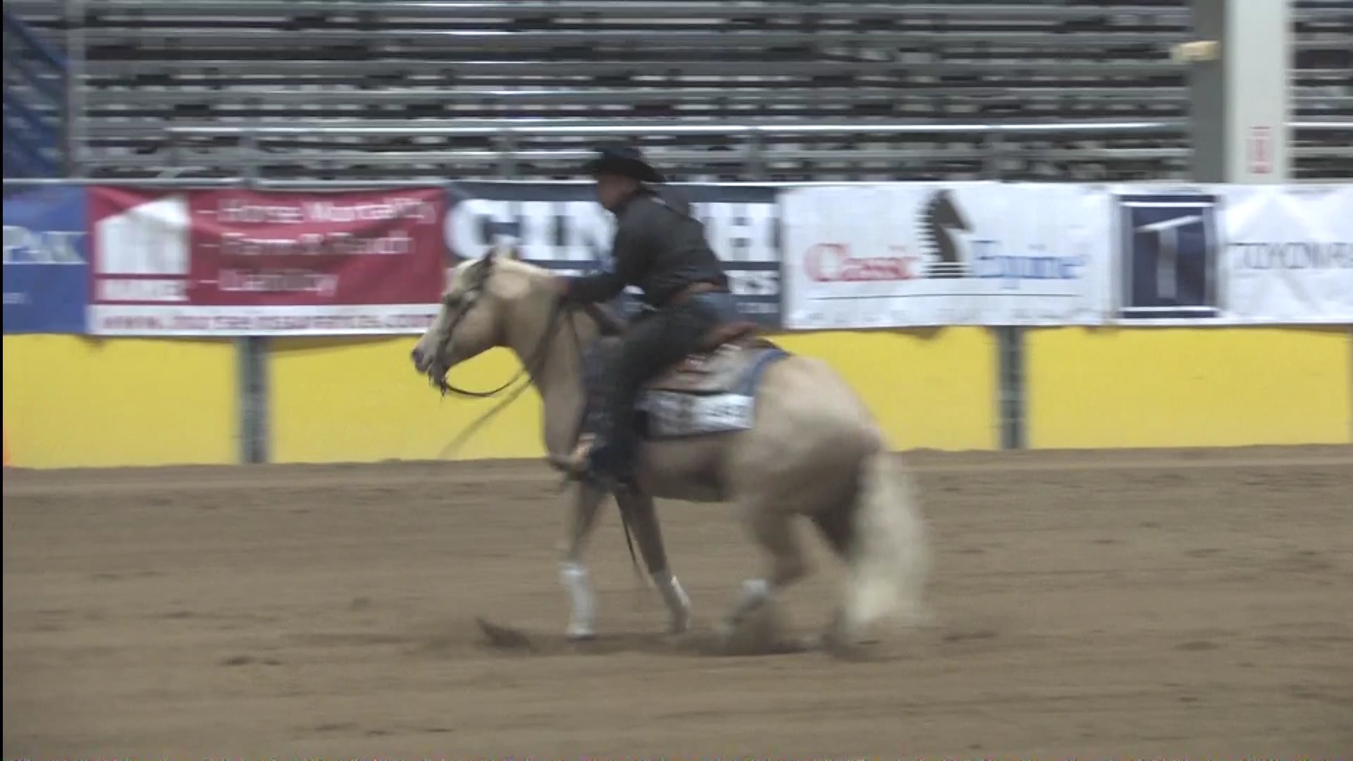 Stallion | KR Gun Powder | Clarkston