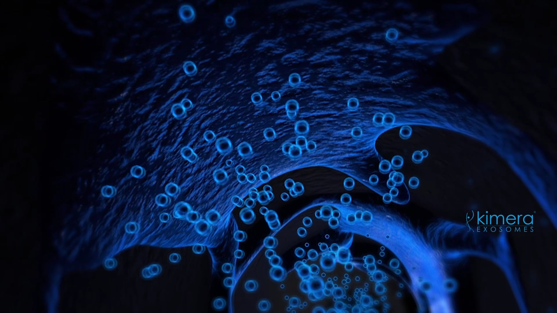 Kimera Exosomes Video.mp4 on Vimeo
