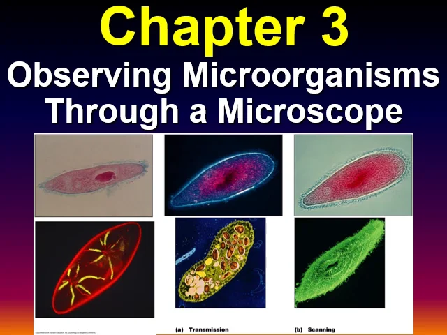Microbiology Chapter 3: Observing Microorganisms Through a Microscope