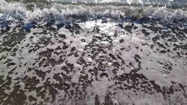 Sea Seaside Water - Free video on Pixabay