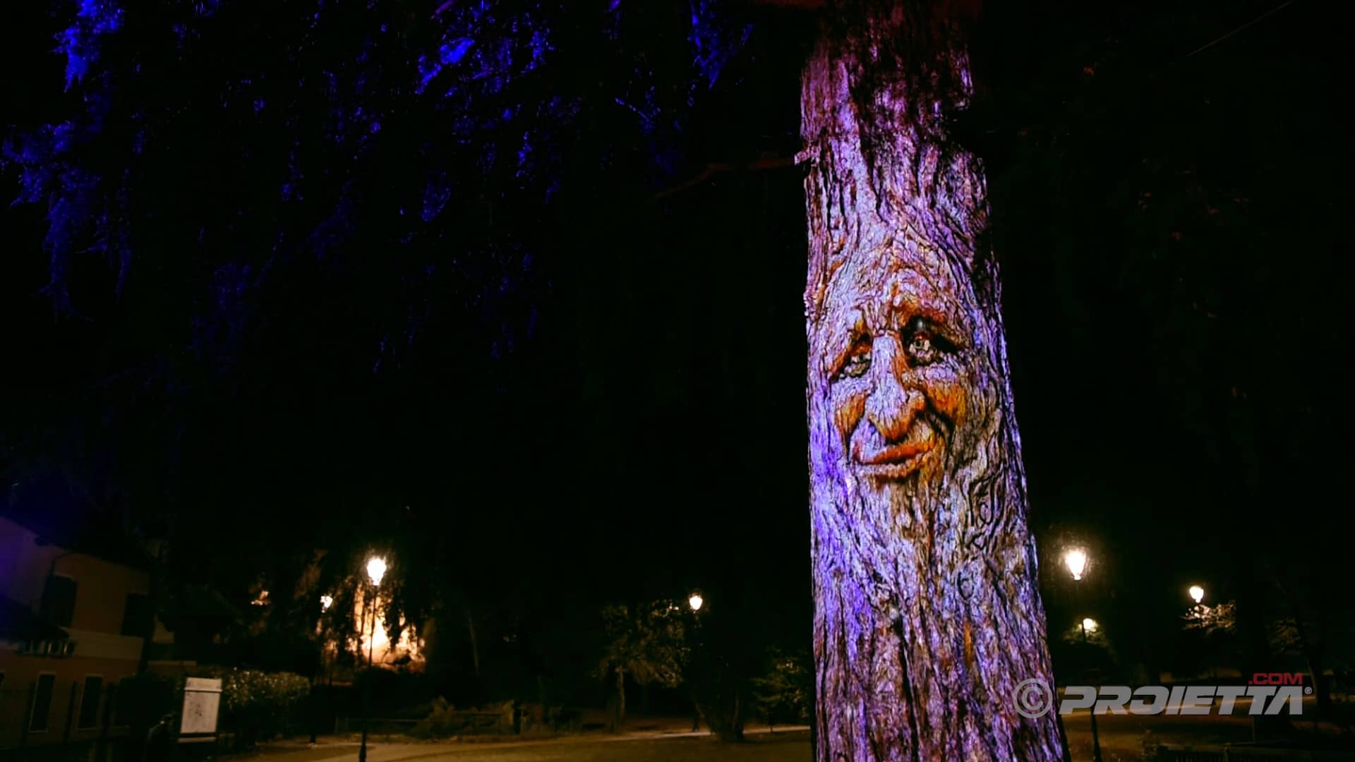 Talking Tree Projection on Vimeo