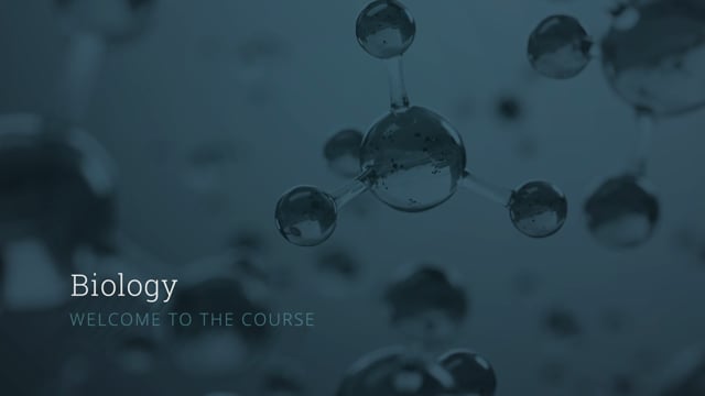 Accredited Online High School | GTS