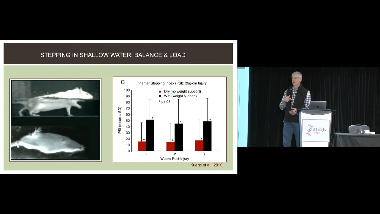 W2W 2018: Activity And Physical Therapy After Incomplete SCI In The Rat ...