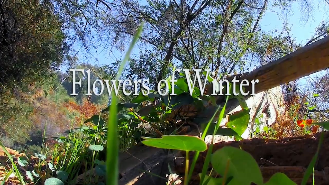 Short Film and Editing Demo Reel - David Gotler on Vimeo