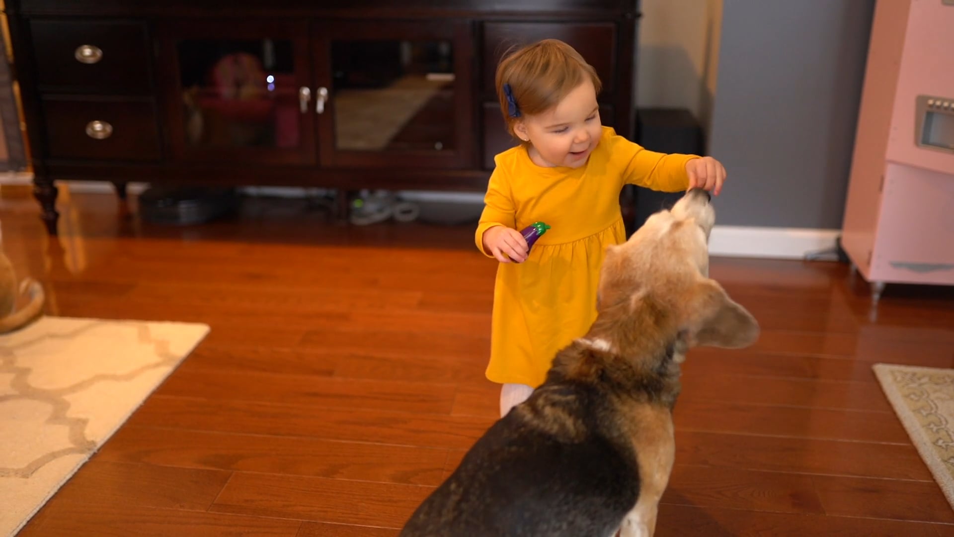 Michelle Cartagena dogs on Vimeo